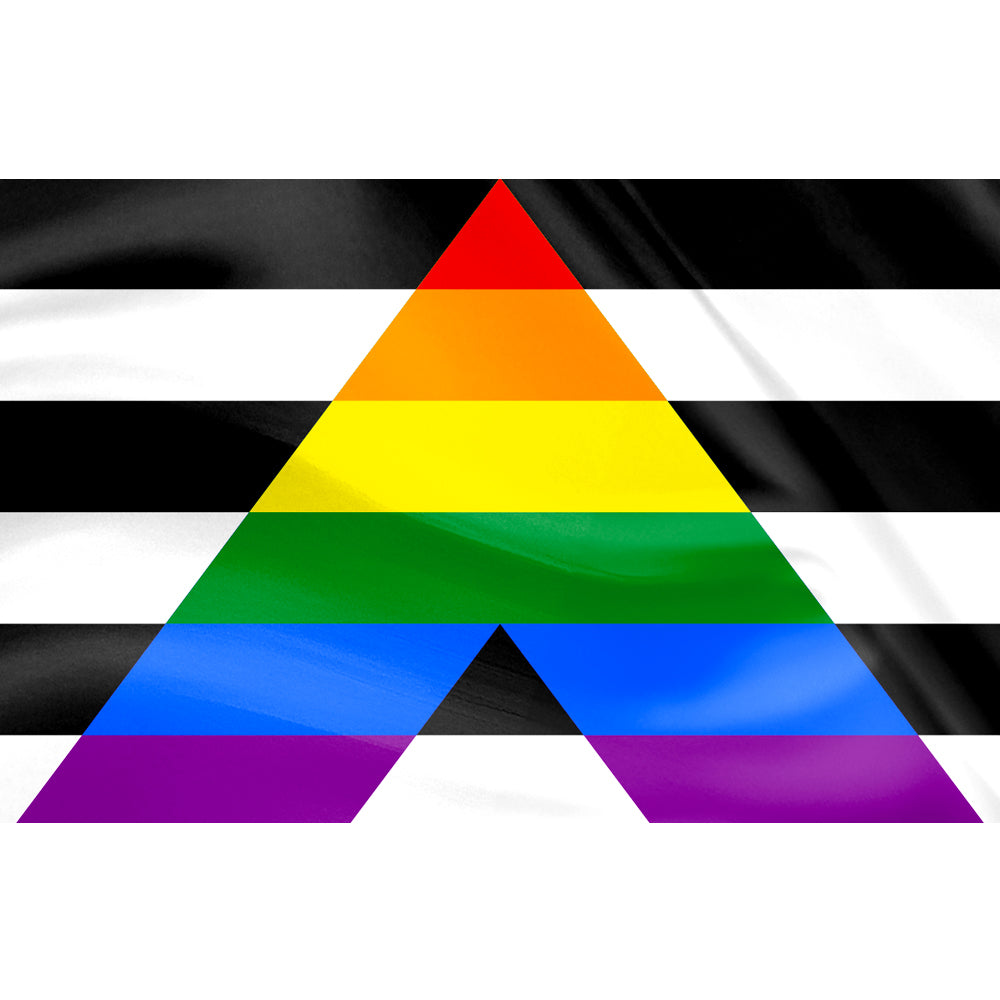 Drapeau Allié LGBTQ+ – flagmastery.com
